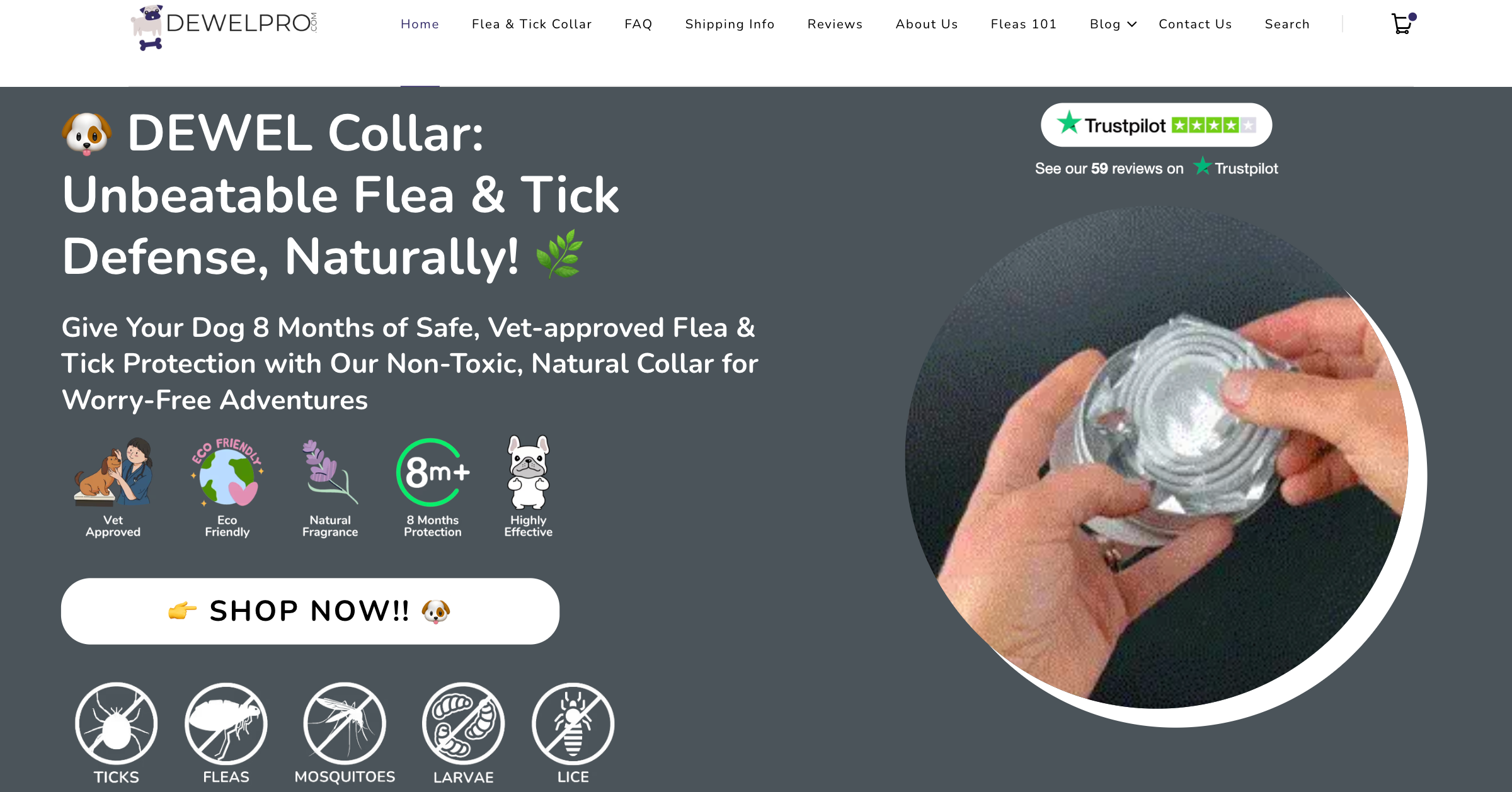 DEWEL™ Flea & Tick Collar — DEWEL™ Collar Official Store – DEWELPRO.com
